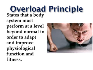 Components of physical fitness | PPT