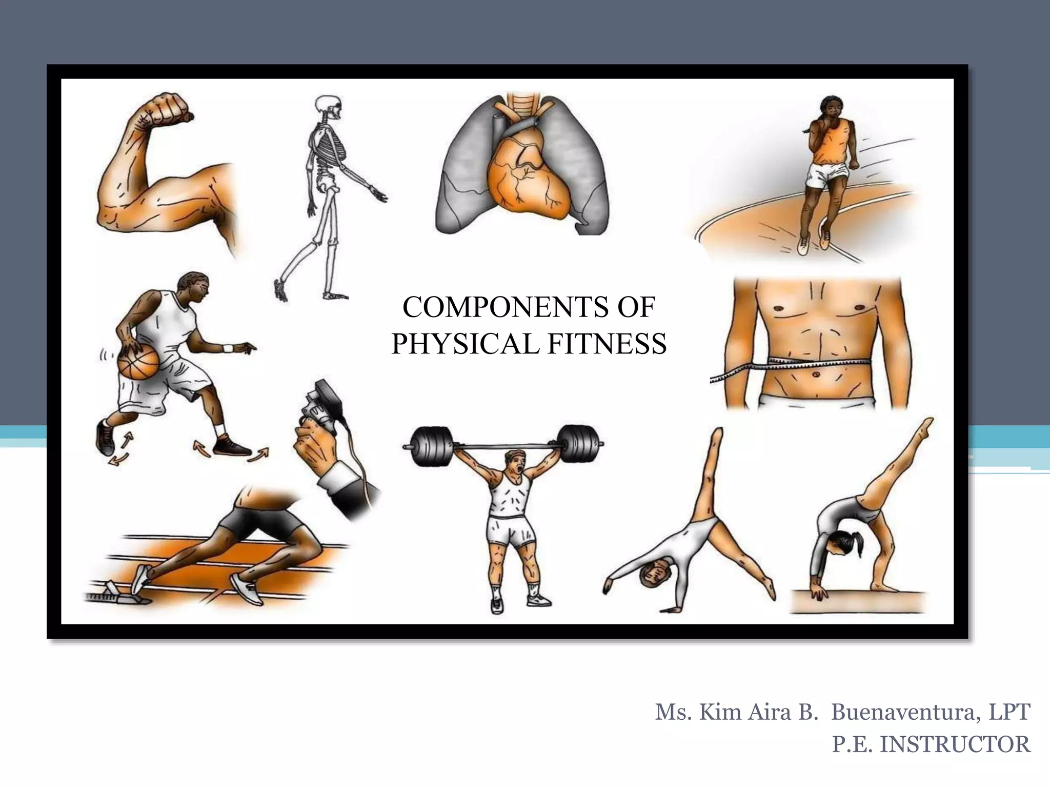 Components of Physical Fitness | PPTX