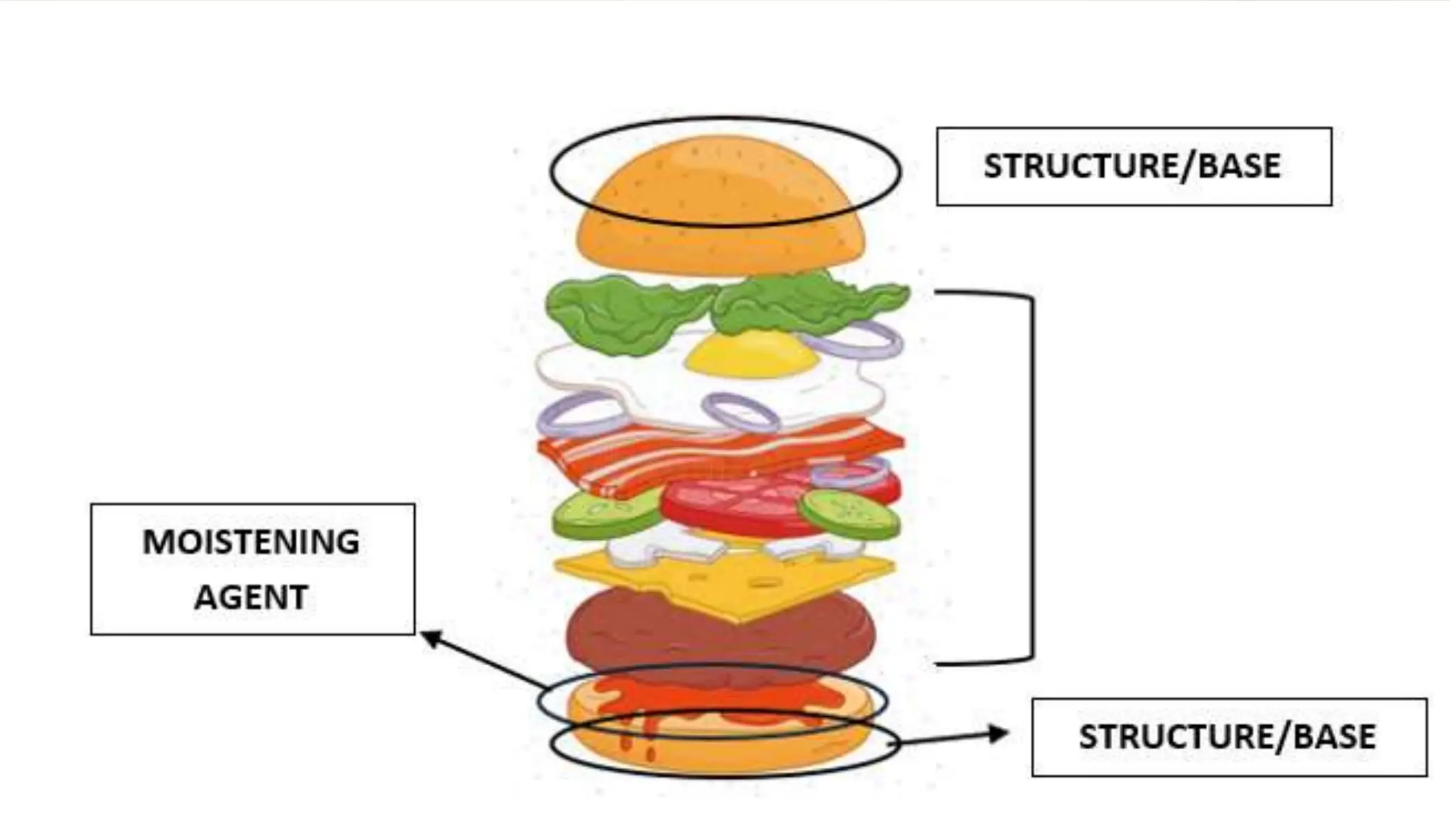 COMPONENTS OF SANDWICHES.pptx