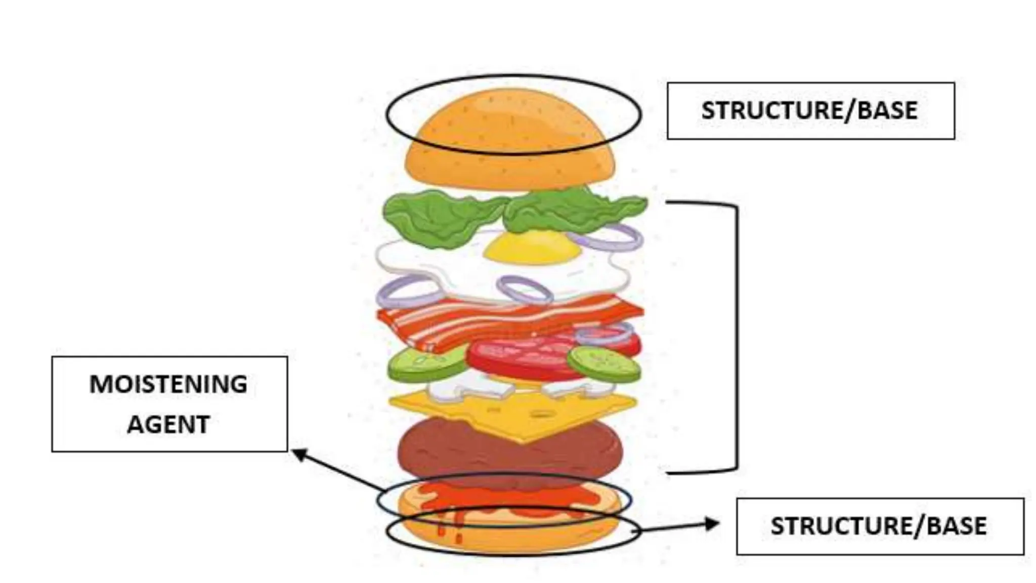 COMPONENTS OF SANDWICHES.pptx
