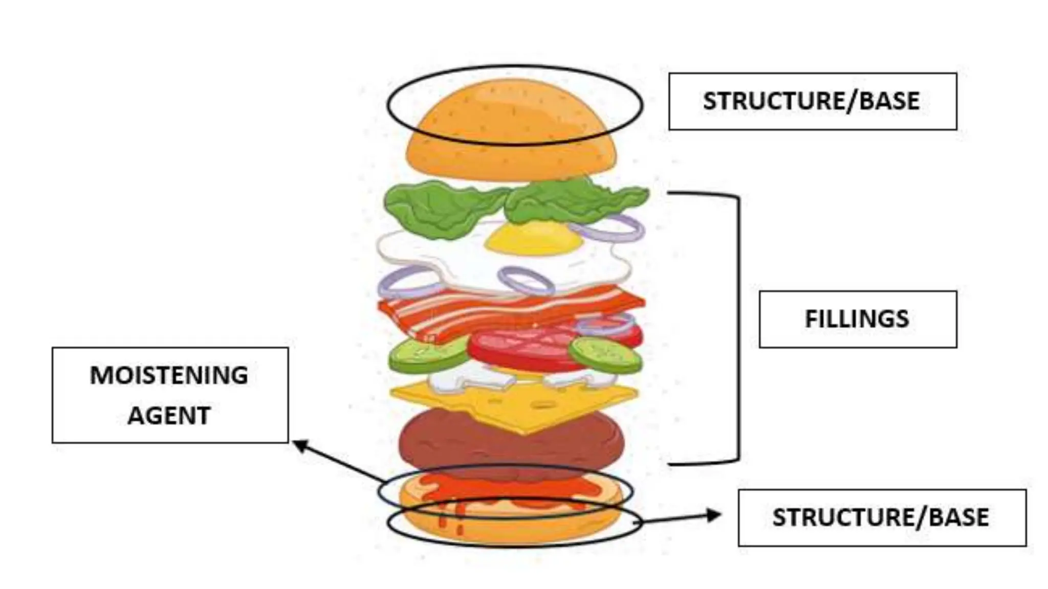 COMPONENTS OF SANDWICHES.pptx