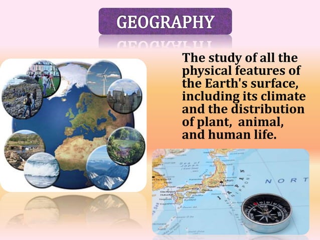 Components of Social Science | PPTX | Science