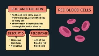 Components of the Blood Biology Presentation in a Yellow Blue Bold ...