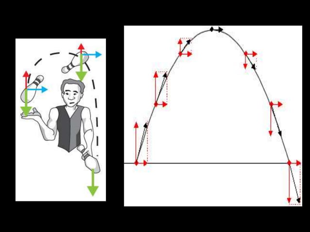 Components of vector | PPTX | Physics | Science