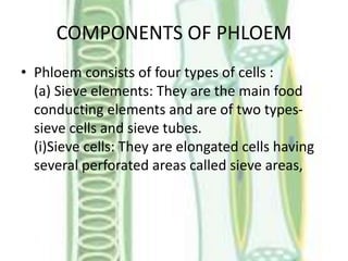Components of xylem and phloem | PPTX