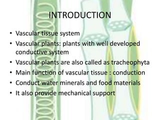 Components of xylem and phloem | PPTX