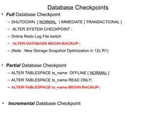 Presentation Oracle Undo & Redo Structures | PPT | Databases | Computer ...