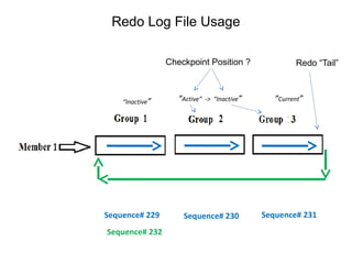 Presentation Oracle Undo & Redo Structures | PPT | Databases | Computer Software and Applications