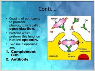 Complement system | PPTX