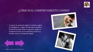 Comportamiento canino (1) | PPTX