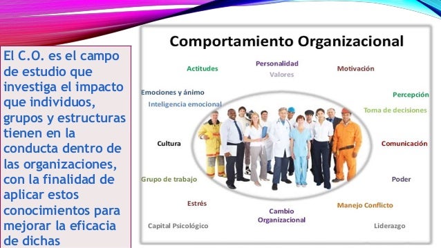 Comportamiento humano en las organizaciones