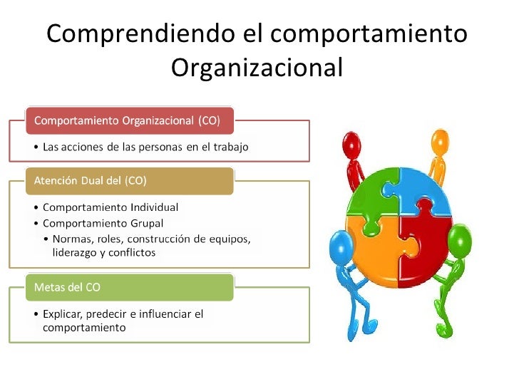 Comportamiento organizacional