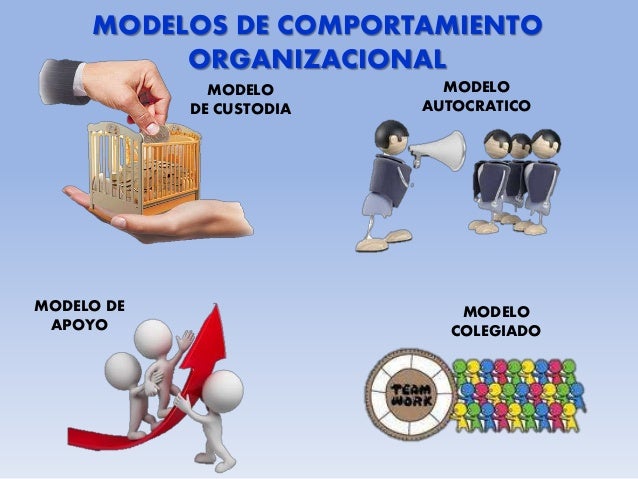 Comportamiento organizacional