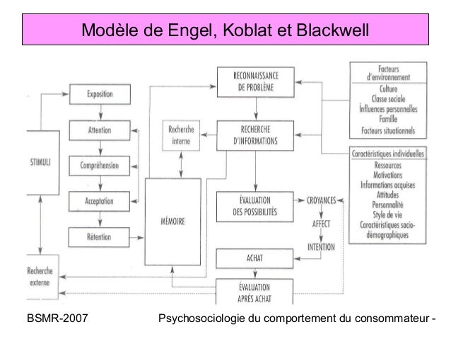 Comportement du consommateur Comportement du consommateur