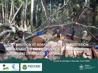 Composante 3: Contribution et adaptation de l'exploitation artisanale ...