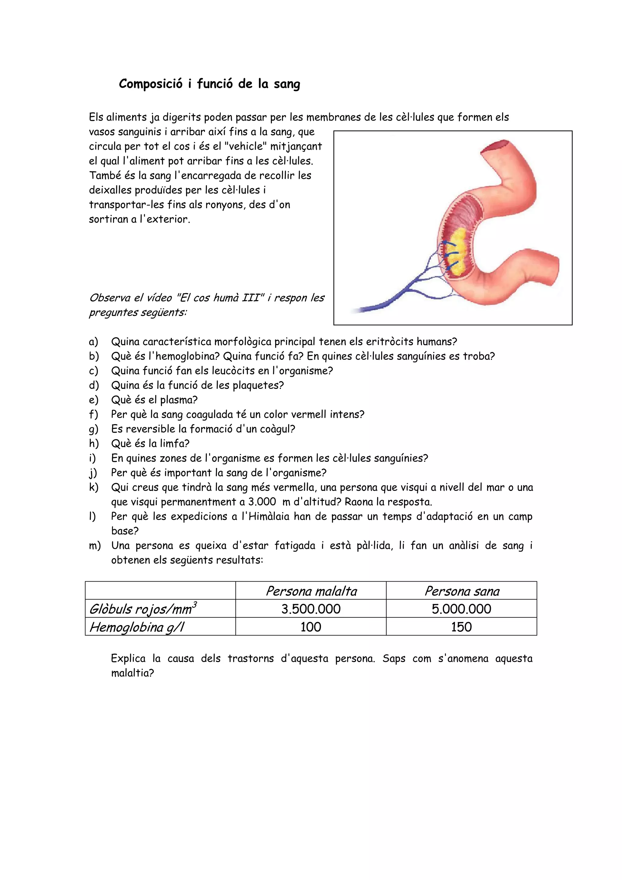 Composició i funció de la sang | DOCX