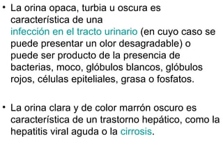ComposicióN De La Orina | PPT