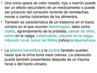 ComposicióN De La Orina | PPT