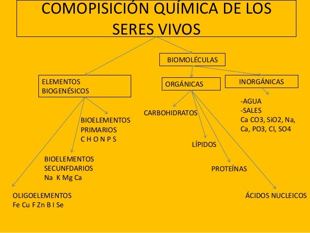 Composición química de los seres vivos