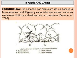 Composición y estructura del bosque parte I | PPTX