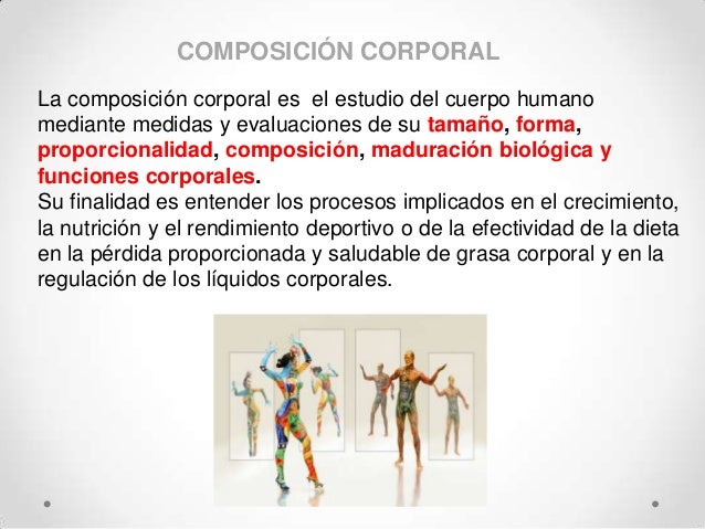 Composicion corporal