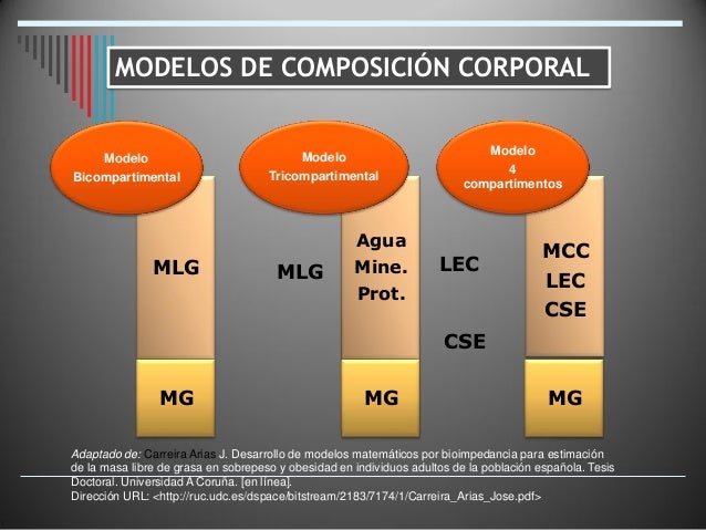 Composicion corporal 1