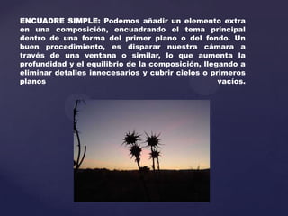 Composicion de la imagen | PPTX
