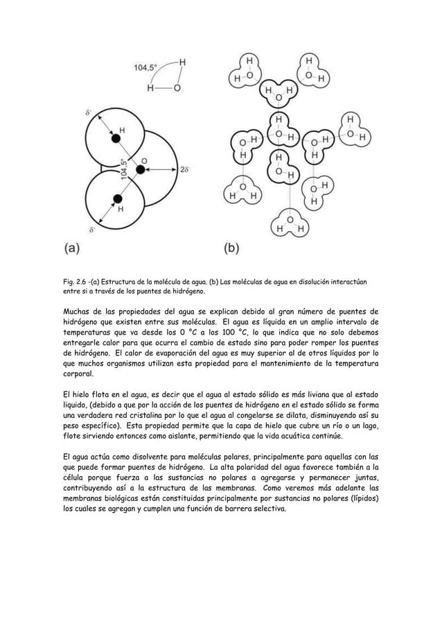 Composicion Quimica De Los Seres Vivos Pdf