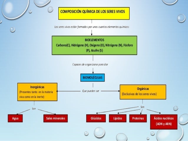 Composicion quimica de los seres vivos