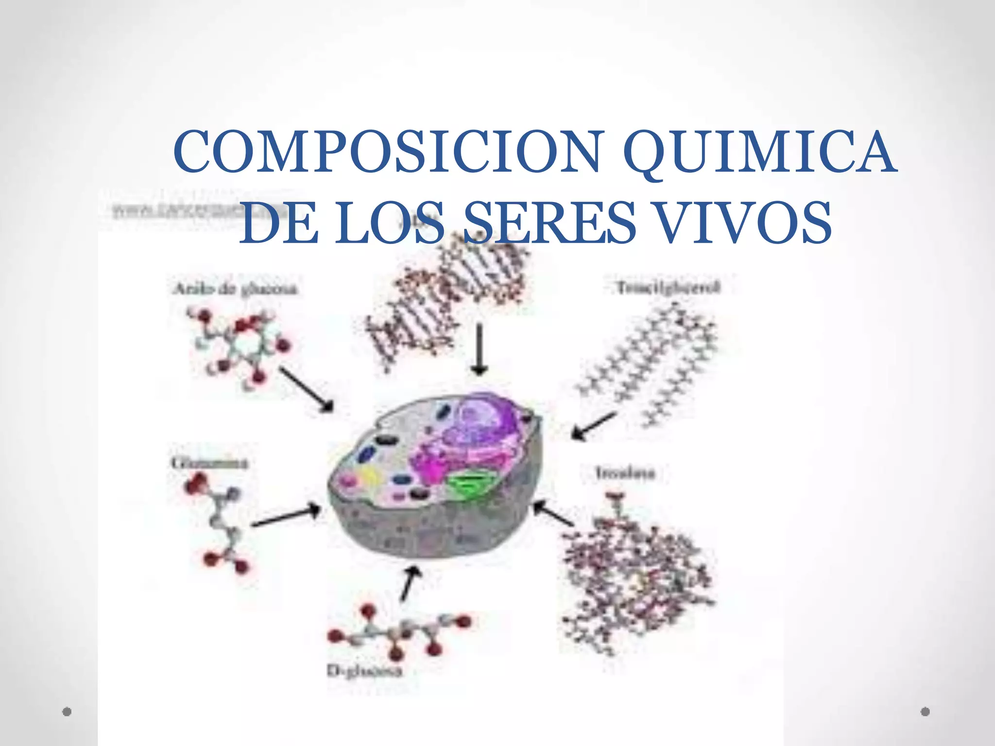 composicion quimica del ser humano.pptx
