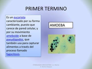 Composicion y derivacion griegas | PPTX