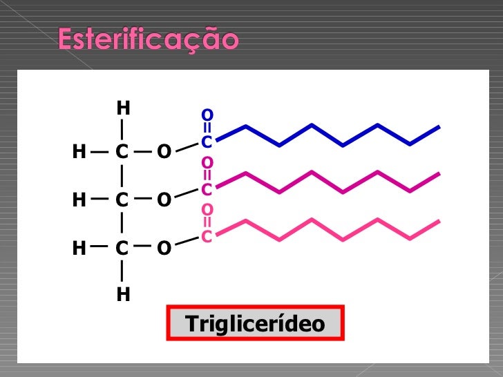 Composição Química - RESUMO