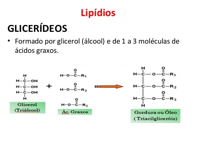 Composição Química Carboidratos e Lipídios