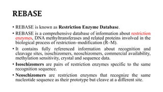 Composite and Specialized databases | PDF