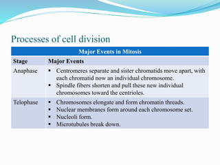 Composite Cell lecture to facilitate learning fir 1st year students. | PPTX