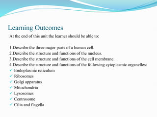 Composite Cell lecture to facilitate learning fir 1st year students. | PPT
