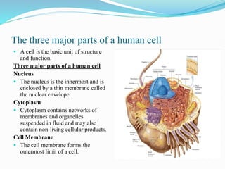 Composite Cell lecture to facilitate learning fir 1st year students. | PPTX