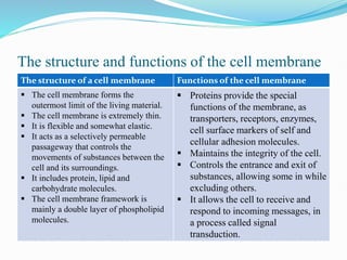 Composite Cell lecture to facilitate learning fir 1st year students. | PPT
