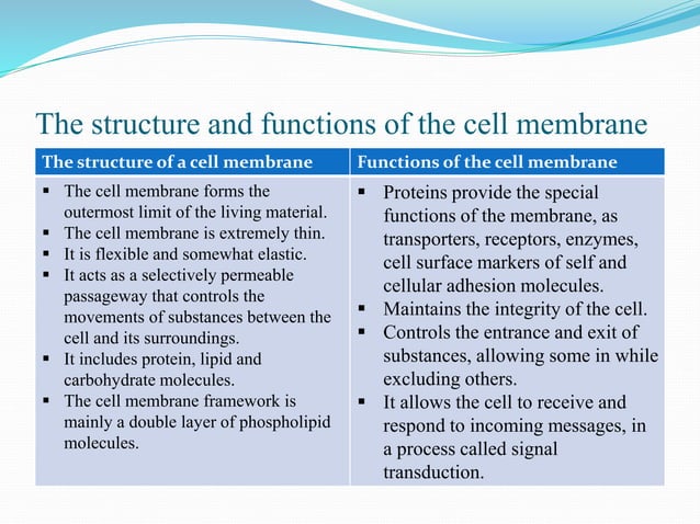 Composite Cell lecture to facilitate learning fir 1st year students. | PPT