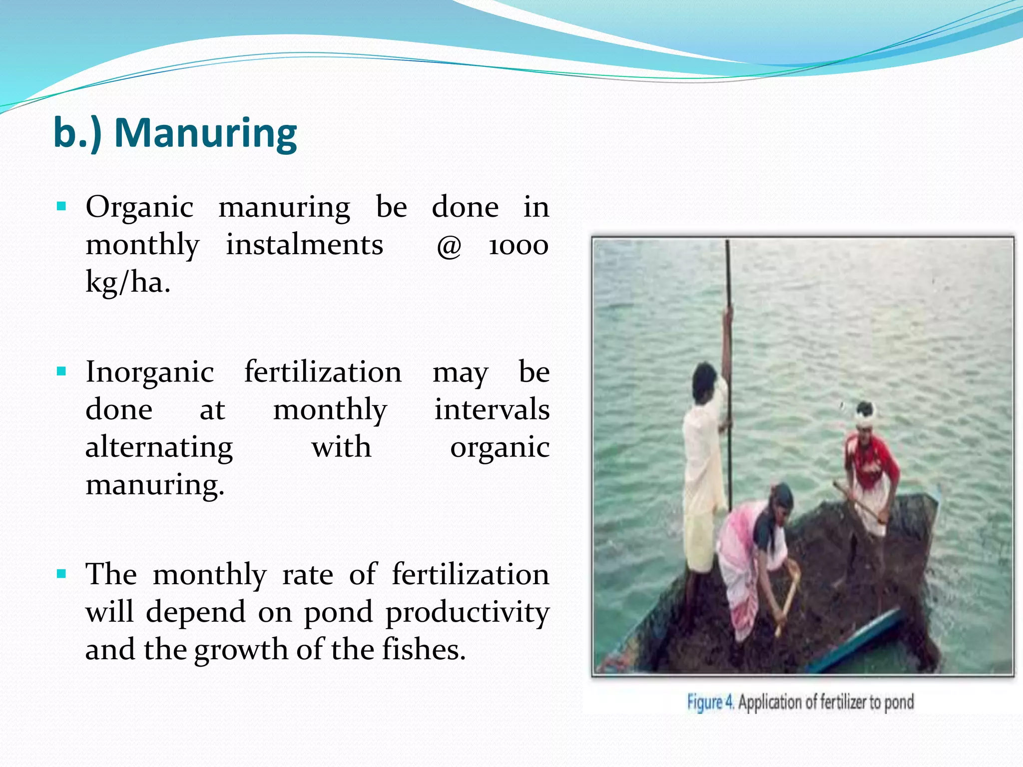 Composite fish culture | PPTX