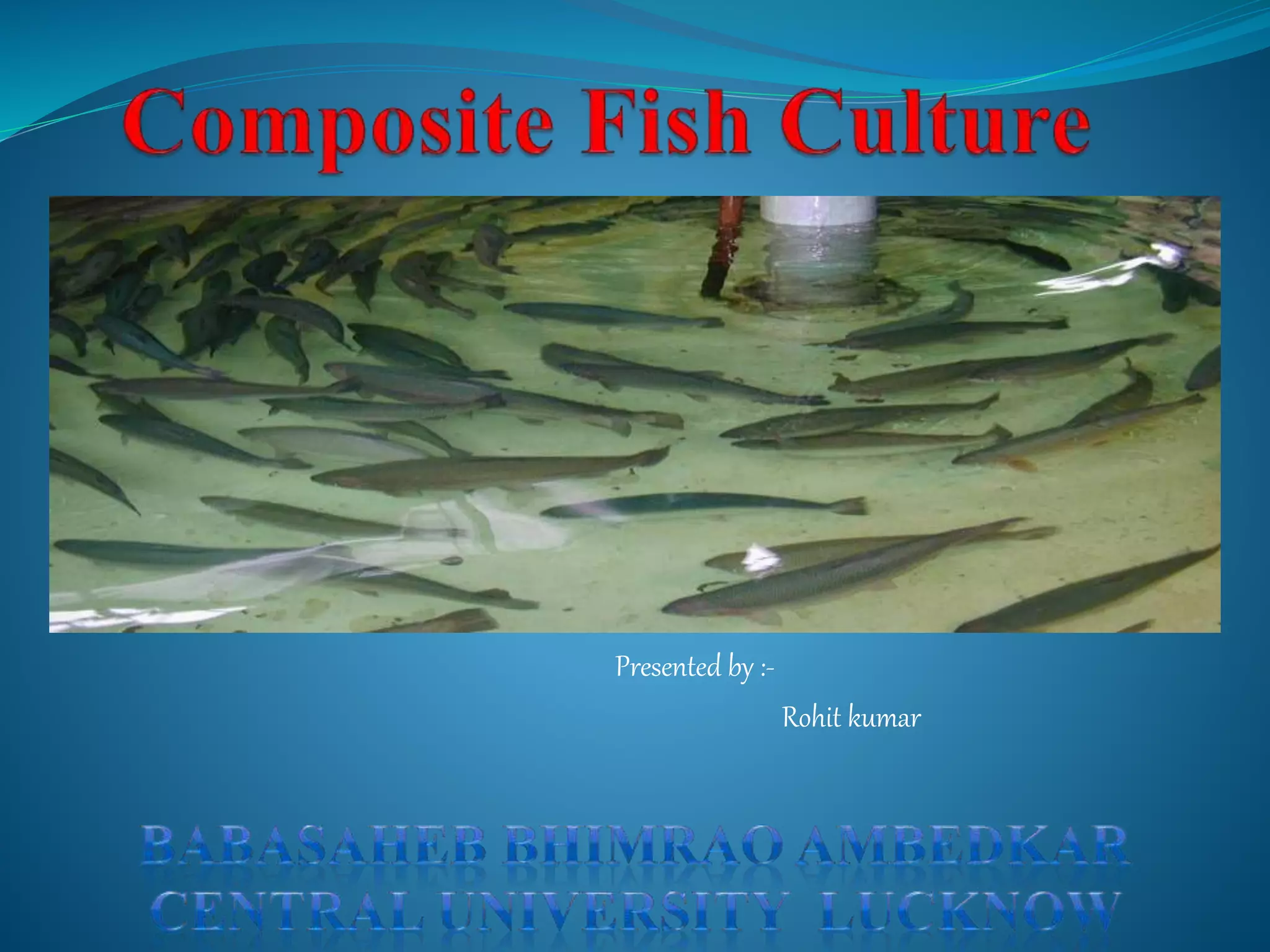 Six Species Composite Fish Farming Guide | PPT