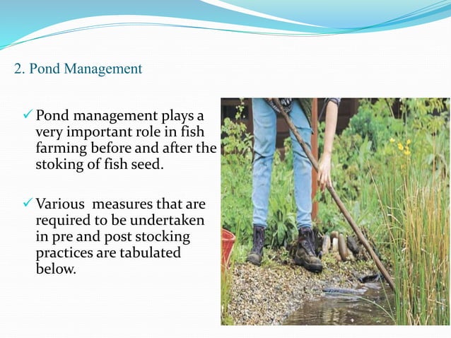 Composite fish culture | PPTX | Agriculture | Industries