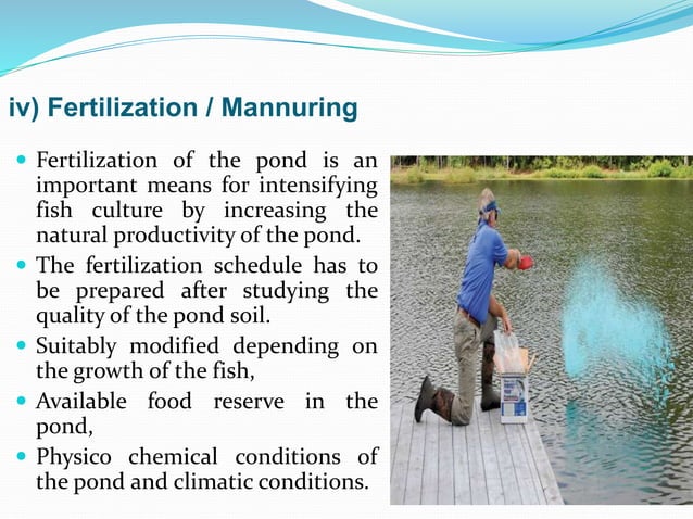 Composite fish culture | PPTX | Agriculture | Industries