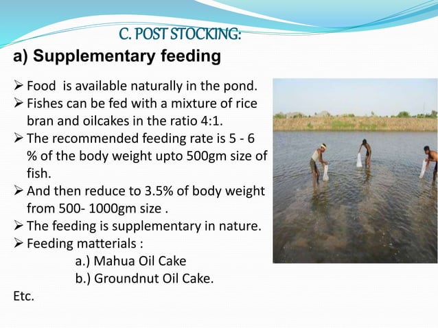 Composite fish culture | PPTX | Agriculture | Industries