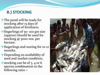Composite Fish Culture