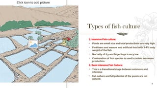 Composite fish culture in India (Exotic carp, Indian Major carp).pptx