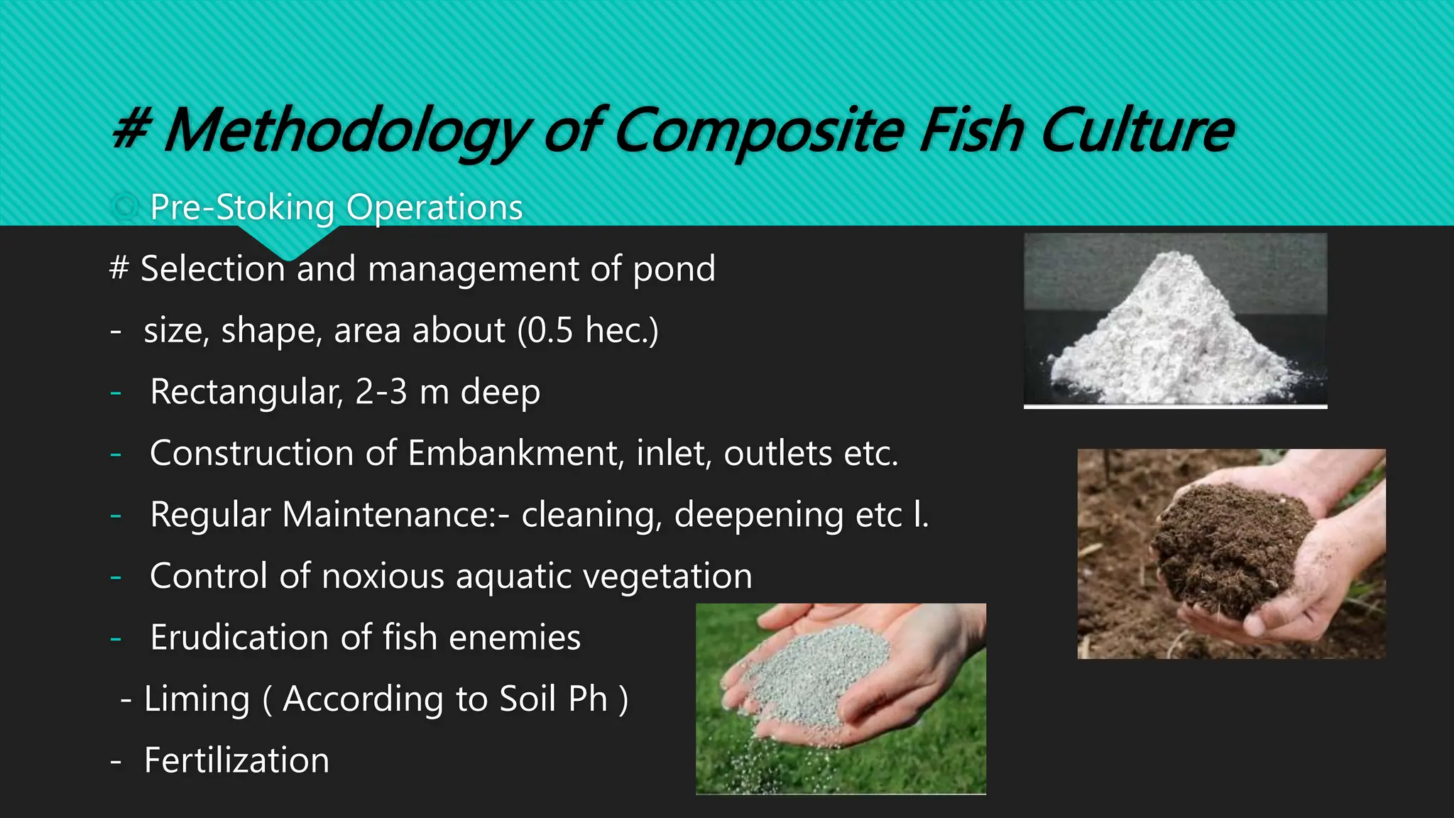 Composite Fish Culture by Ashish Verma.pptx