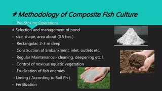 Composite Fish Culture by Ashish Verma.pptx