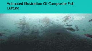 Composite Fish Culture by Ashish Verma.pptx