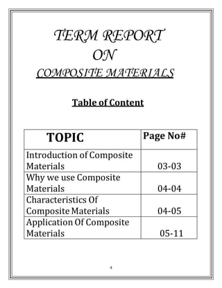Composite material term report | DOCX